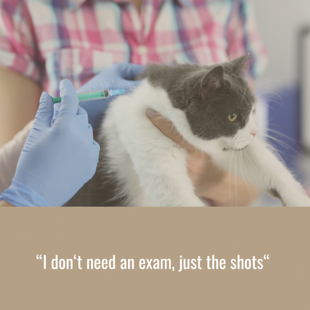 What's in an "Exam" - Pulse Check Pet